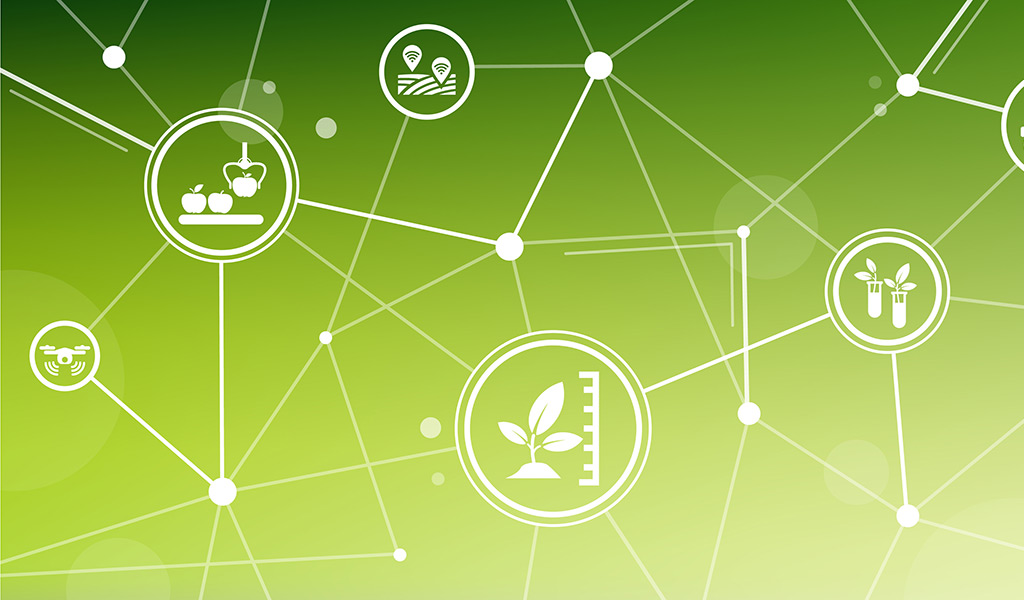 Cyber Works - Lancaster University