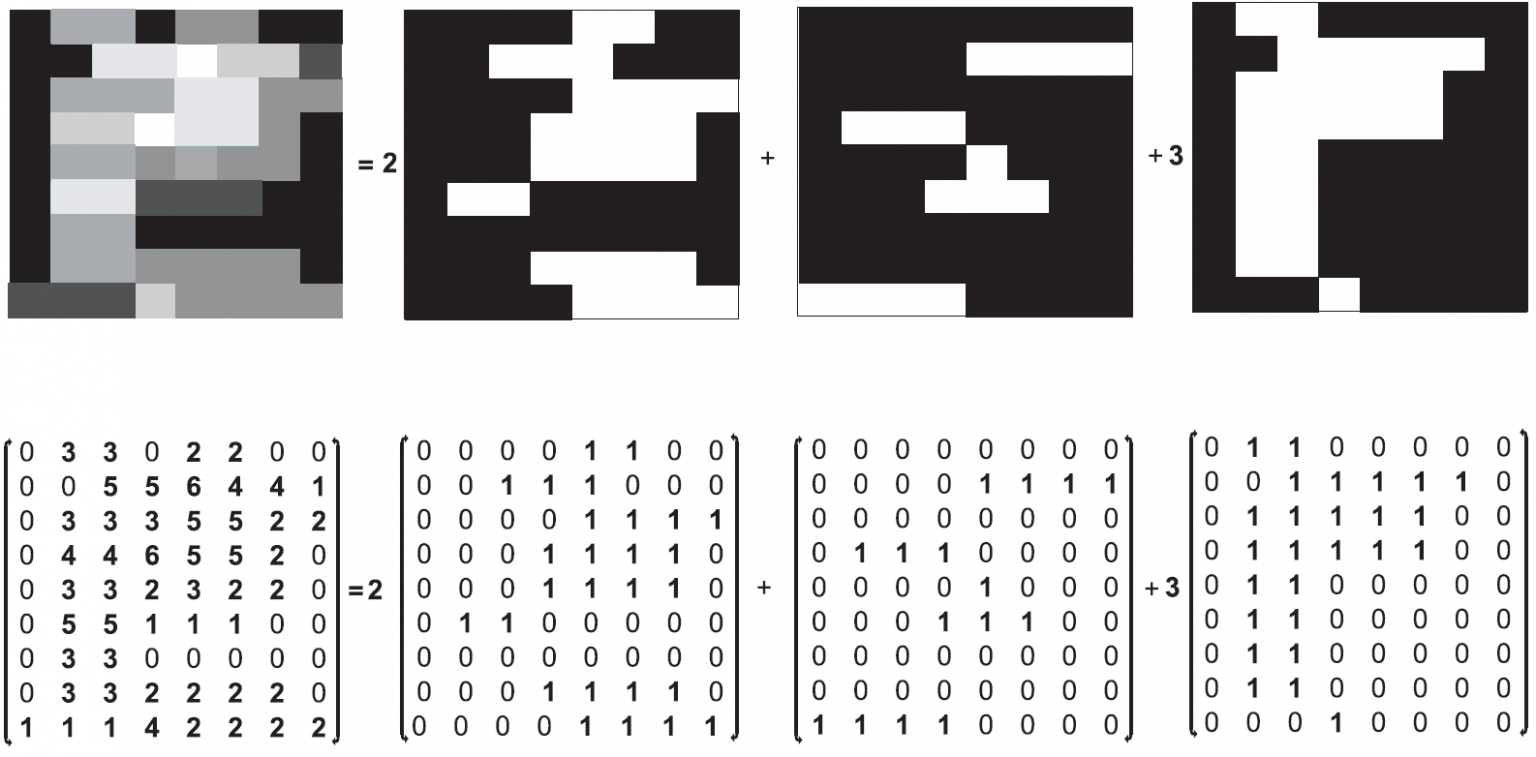 IMRT Planning Process: Leaf Sequencing Optimization – Matthew Davison