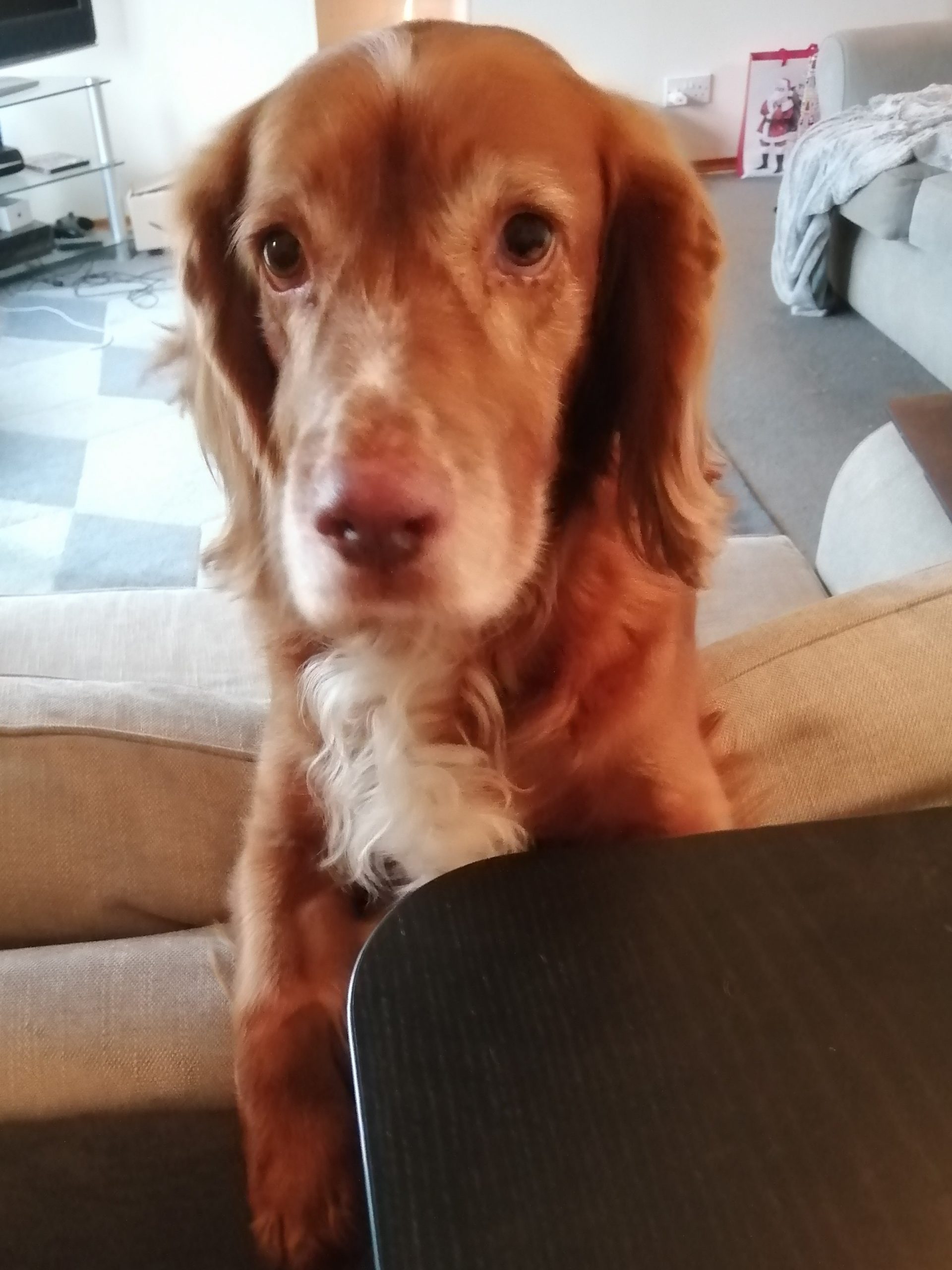 Game Theory: “Hamlet was totally rational!” – ROBYN GOLDSMITH